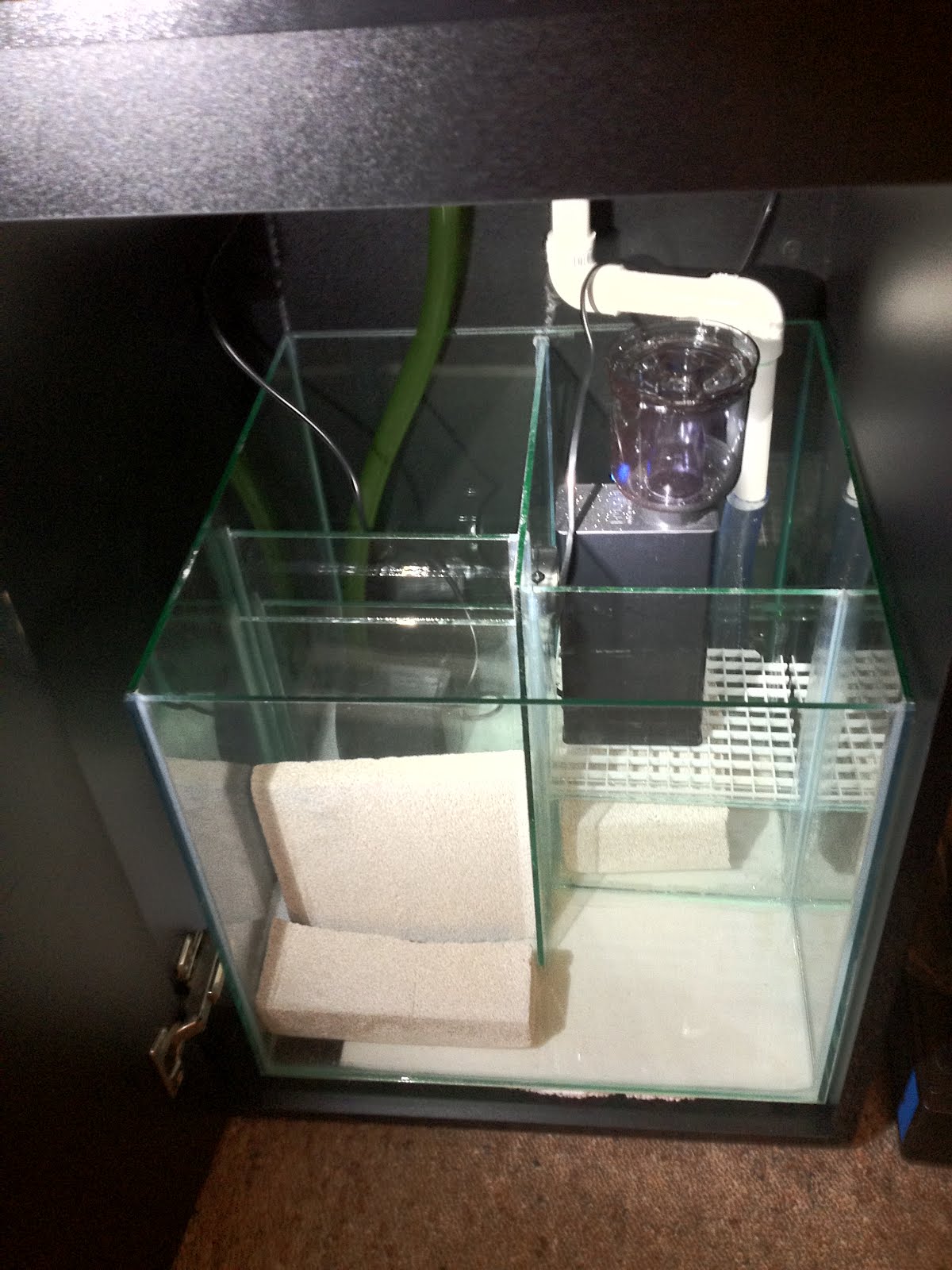 Emboli's Aquariums: [MARINE TANK] Custom made sump