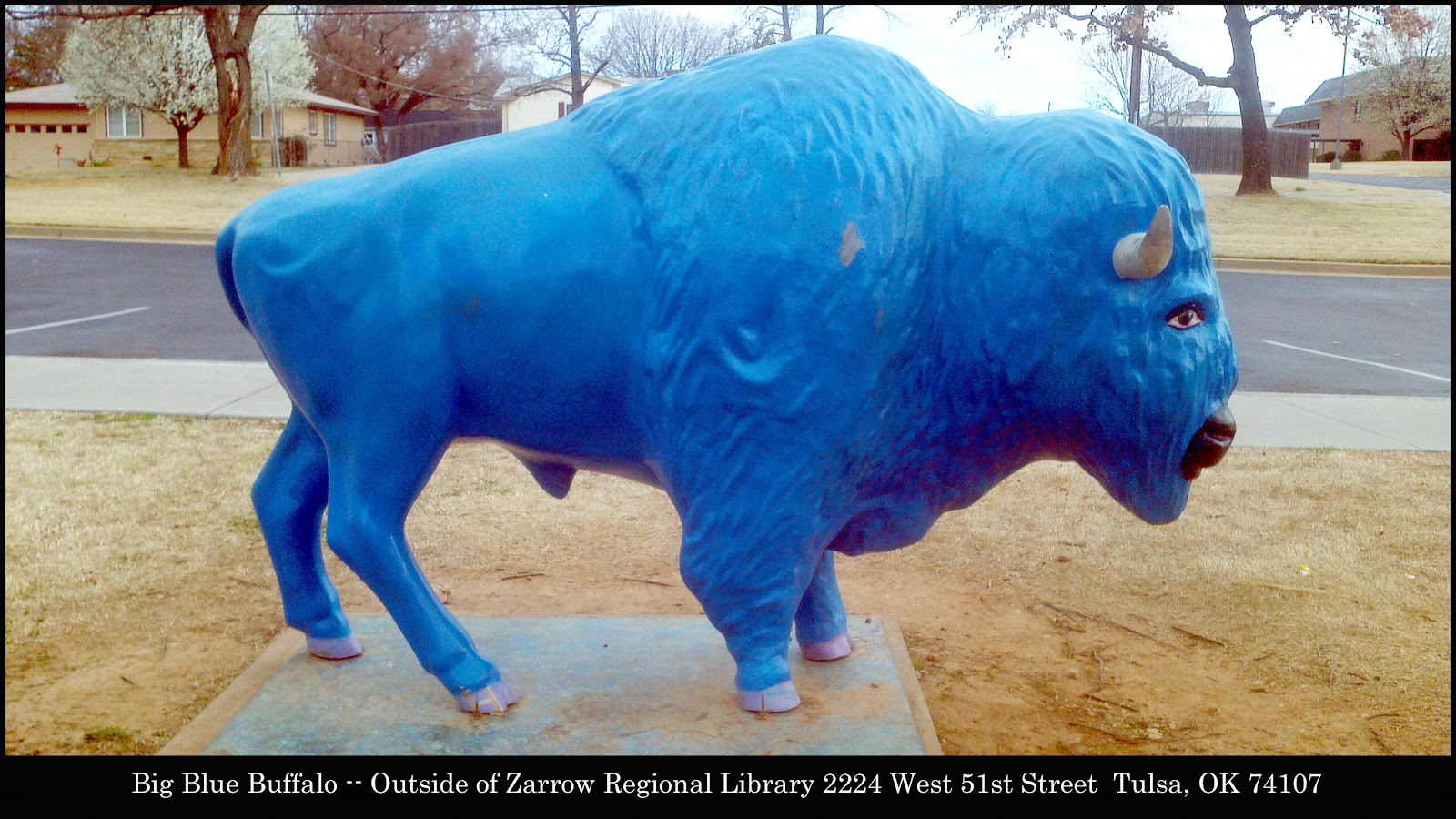 The Adventures of Two Okie Girls: Spirit of the Buffalo Hunt-- OKC and ...