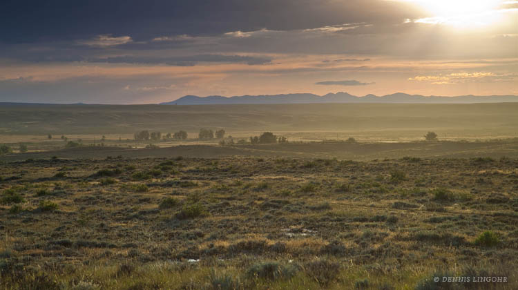 bensozia: The American Prairie Reserve