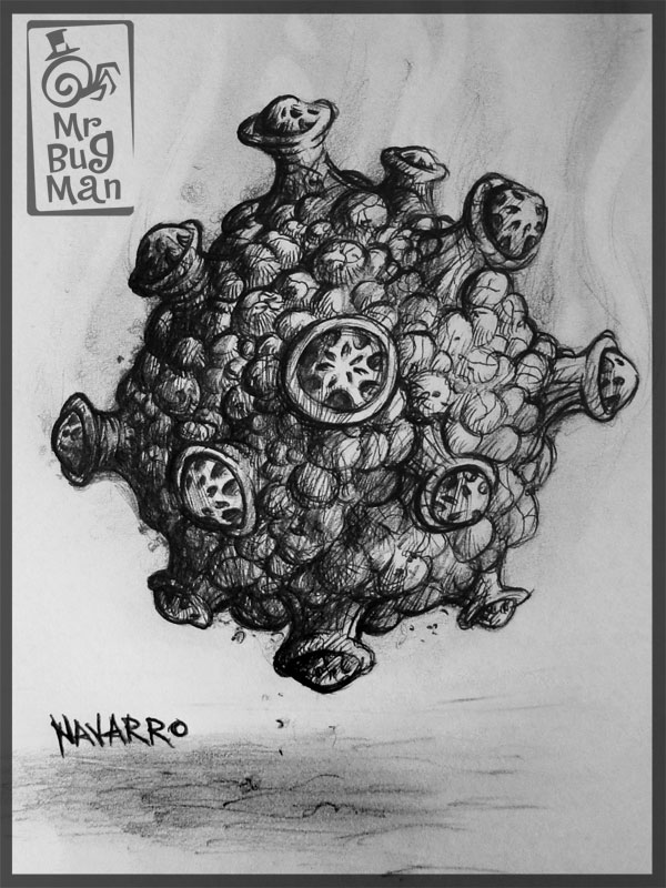 Mr. Bug Man: ASCOMOID