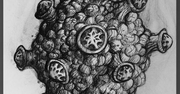 Mr. Bug Man: ASCOMOID