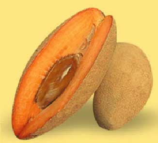 Vive mejor: El zapotes y sus beneficios