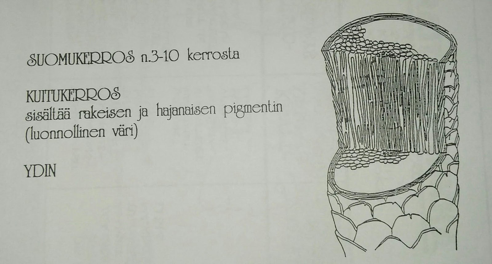 Helmin hiusblogi: Hiusten värjäyskäsittelyt