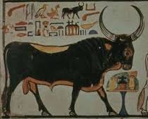 Arcanoteca: Menu Mitologia Egípcia: Mnévis