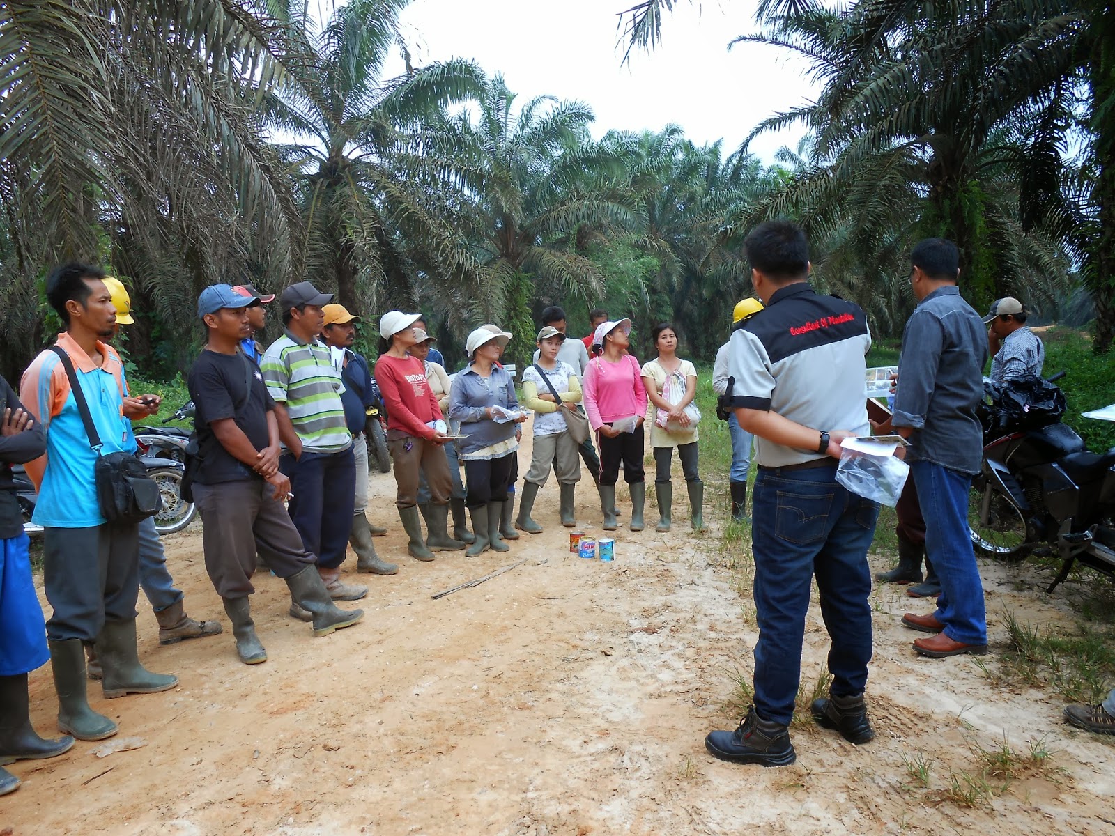 PT ASA TENERA PRIMA: PELATIHAN LSU (leaf sampling unit)