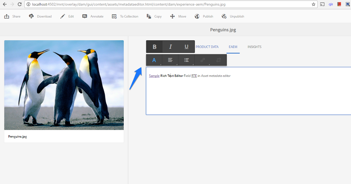 Experiencing Adobe Experience Manager (AEM, CQ): AEM 62 - Touch UI Rich ...