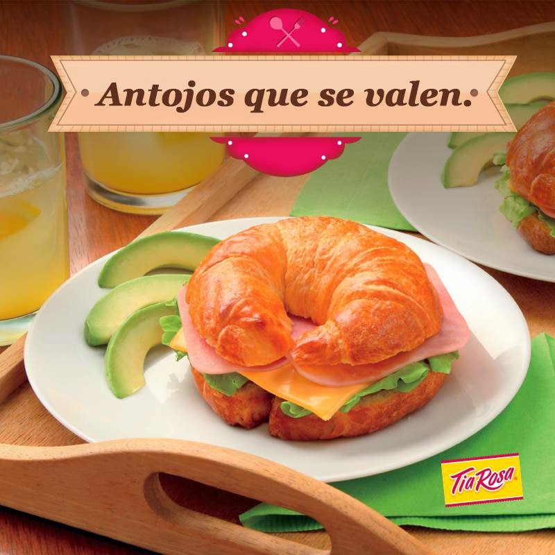 ¡POR SU RICO SABOR CASERO! TIA ROSA Y SU LOGO