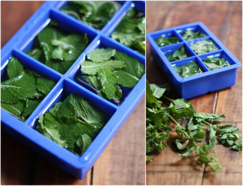 How To: Mint Infused Ice Cubes | 17 Apart