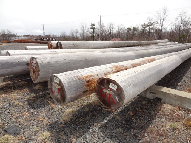 FS Supply Co: W. Red Cedar and Steel Poles
