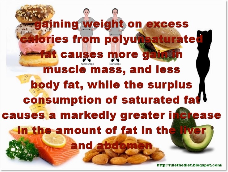 weight loss for a healthy lifestyle: Study shows what foods deposit fat ...