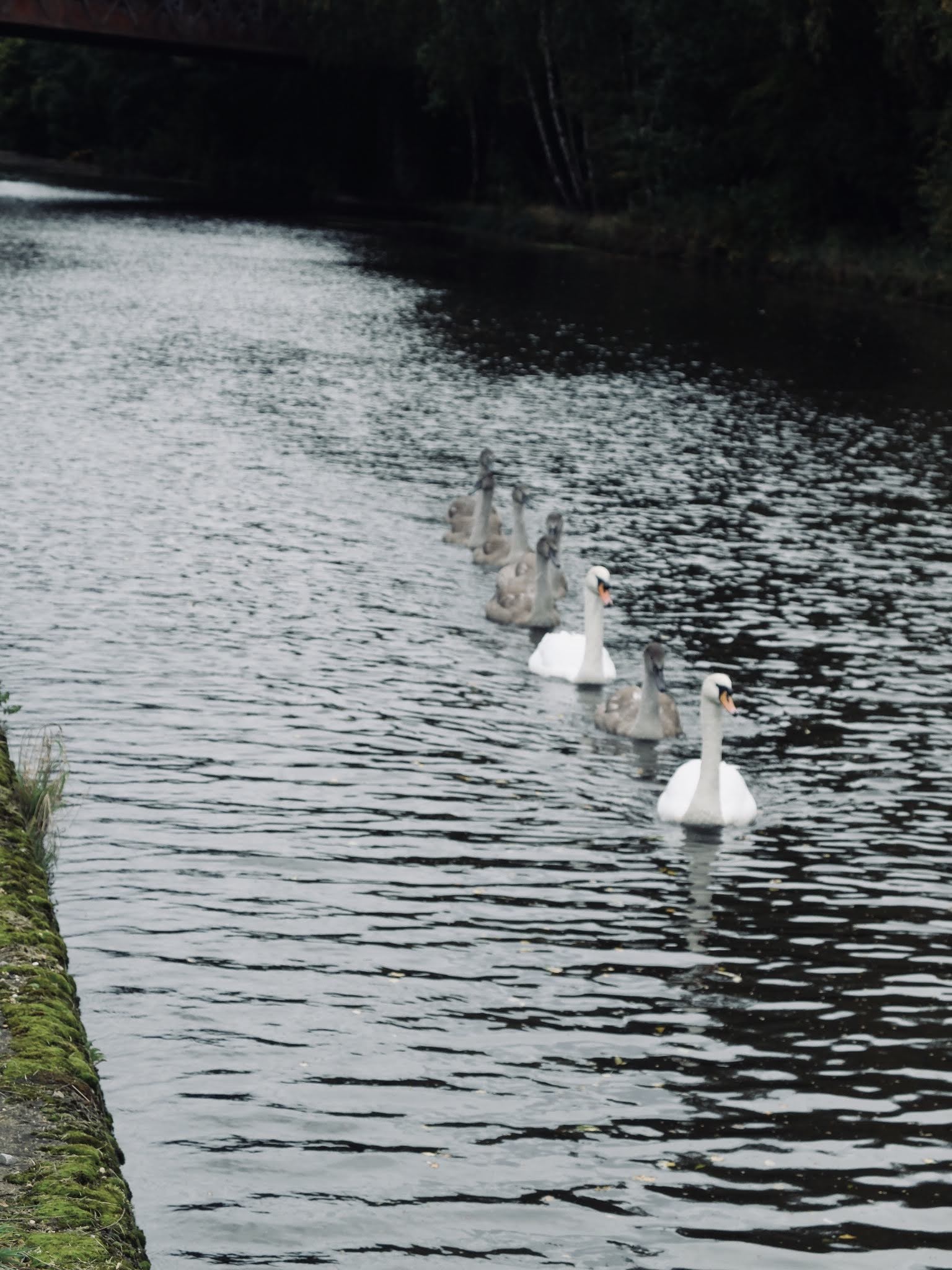 Lads outings : Horbury Bridge to Calder Island