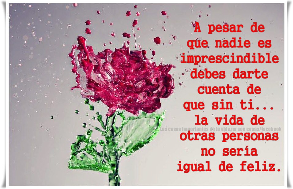 Frases con imágenes : A pesar de que nadie es imprescindible...