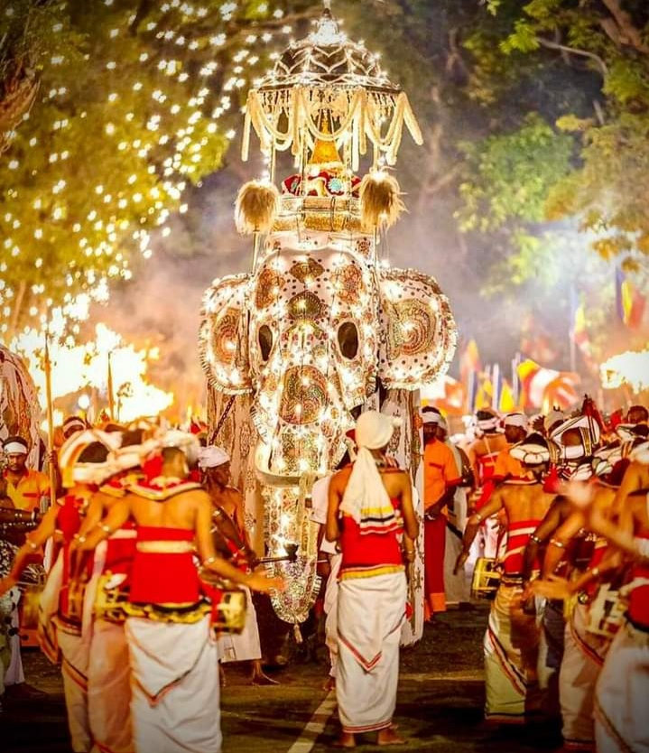 THE KANDY PERAHERA OF SRILANKA