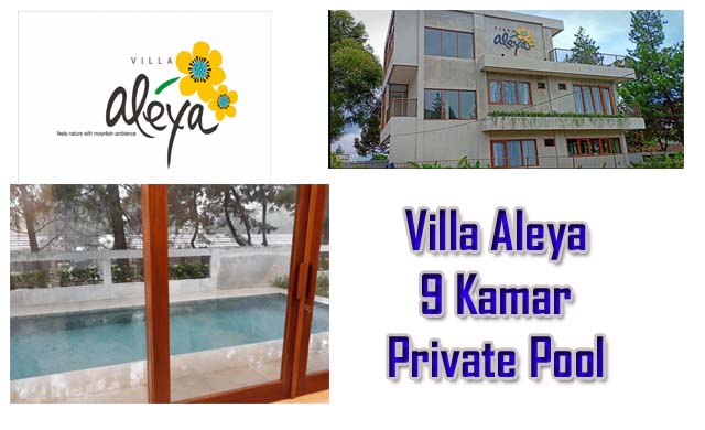 9 Villa Besar Di Lembang Untuk Gathering Dan Anniversary Fasilitas ...