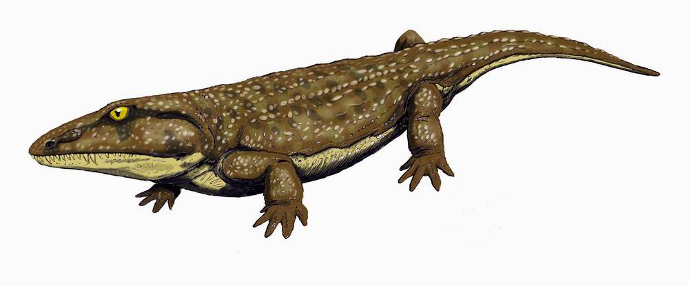 Los animales en la prehistoria: Animales prehistóricos con la letra A