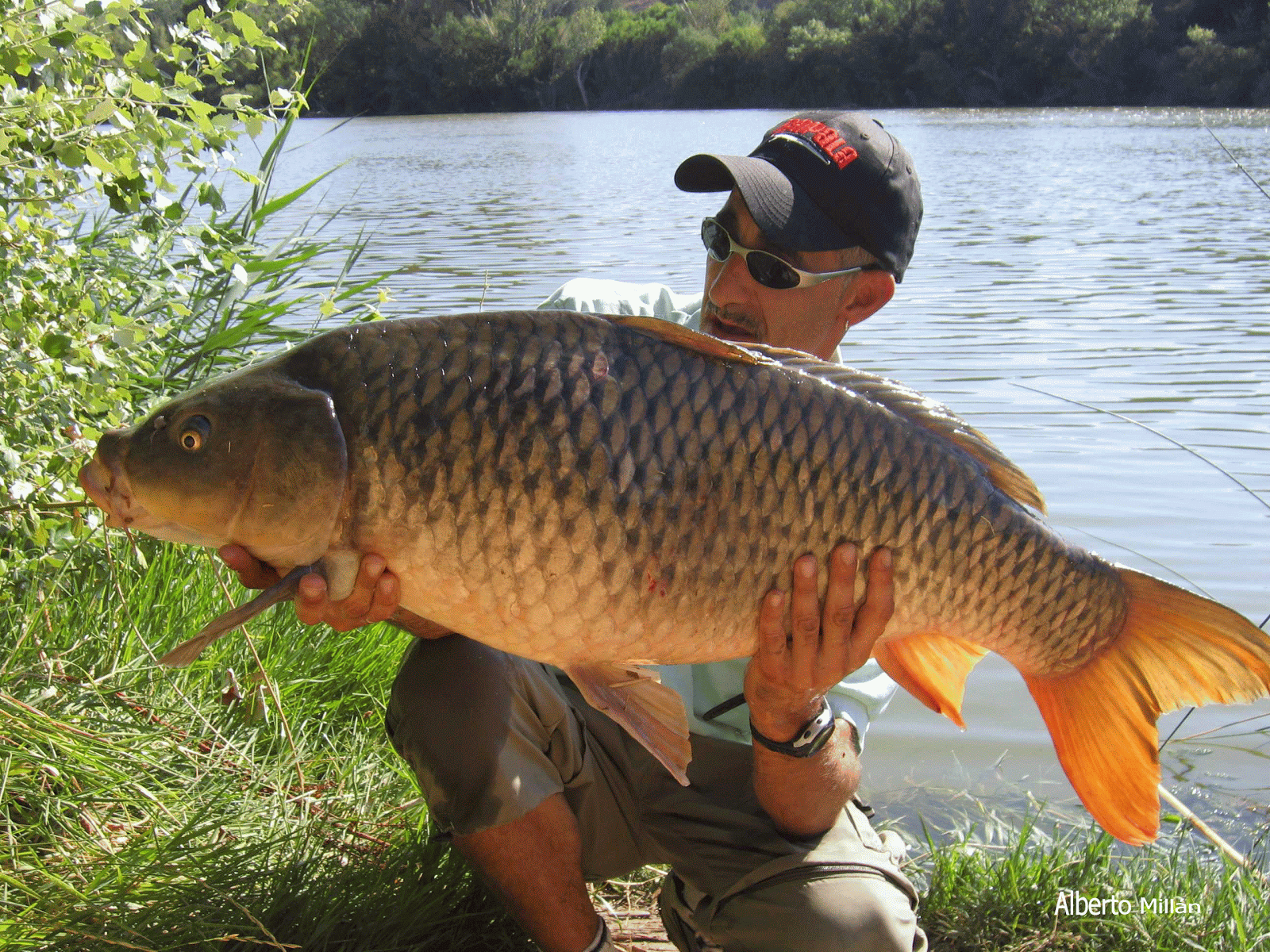 PESCA CON GUÍA DEL SILURO AL LANZADO Y PELLETS CON ALBERTO MILLÁN ...