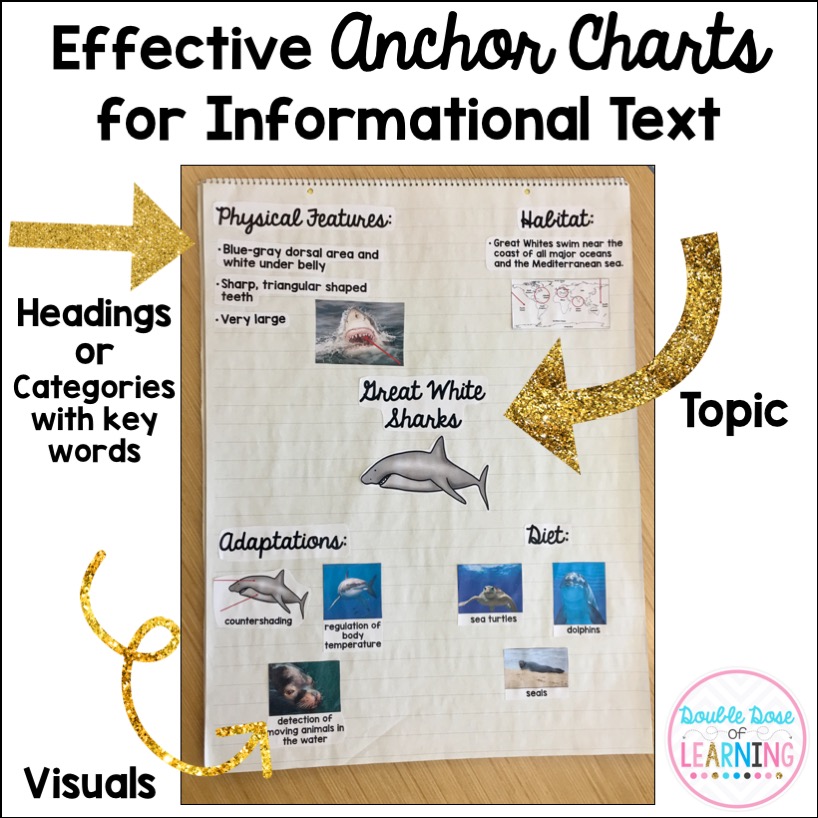 Effective Anchor Charts for Informational Text | Double Dose of Learning Effective Anchor Charts for Informational Text | Double Dose of Learning