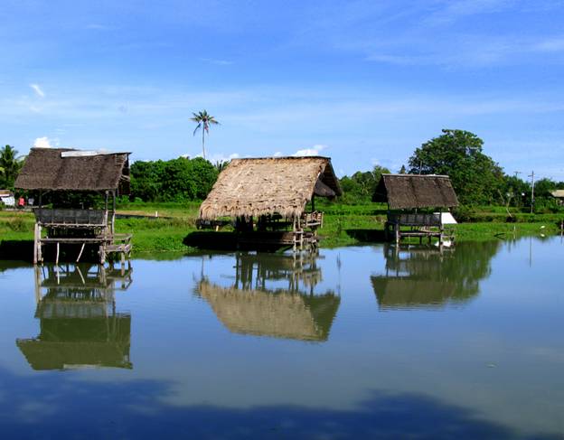 Eye in the Sky: More Images from Campo Agua Resort - Toril, Davao City