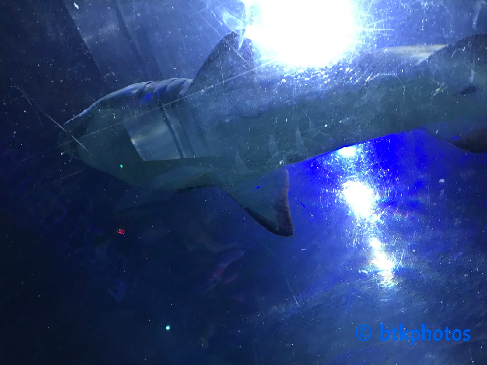 Reel to Real Filming Locations: Jaws 3 (1983)