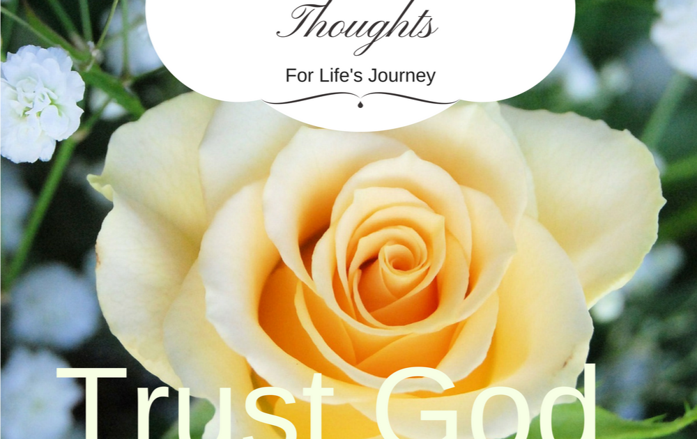 A Walk In The Garden: Devotional Thoughts For Life's Journey