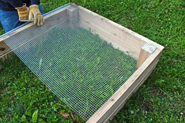 Some Like A Project: DIY Raised Garden Beds