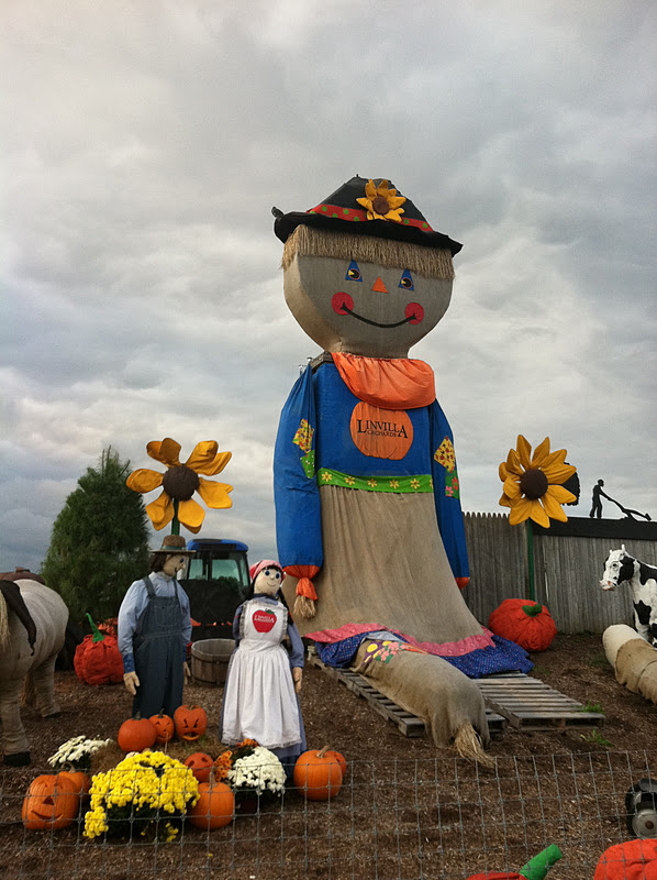 Taste & Travel: Linvilla Orchards-Media, PA