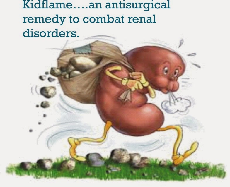 Read about Health Tips beneficial for Kidneys ~ KIDFLAME - Homeopathic ...