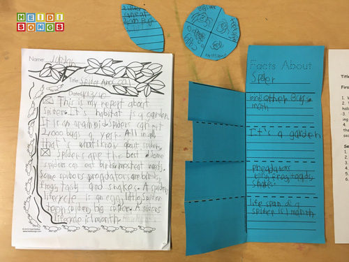 Teaching First Graders to Write an Insect Report!