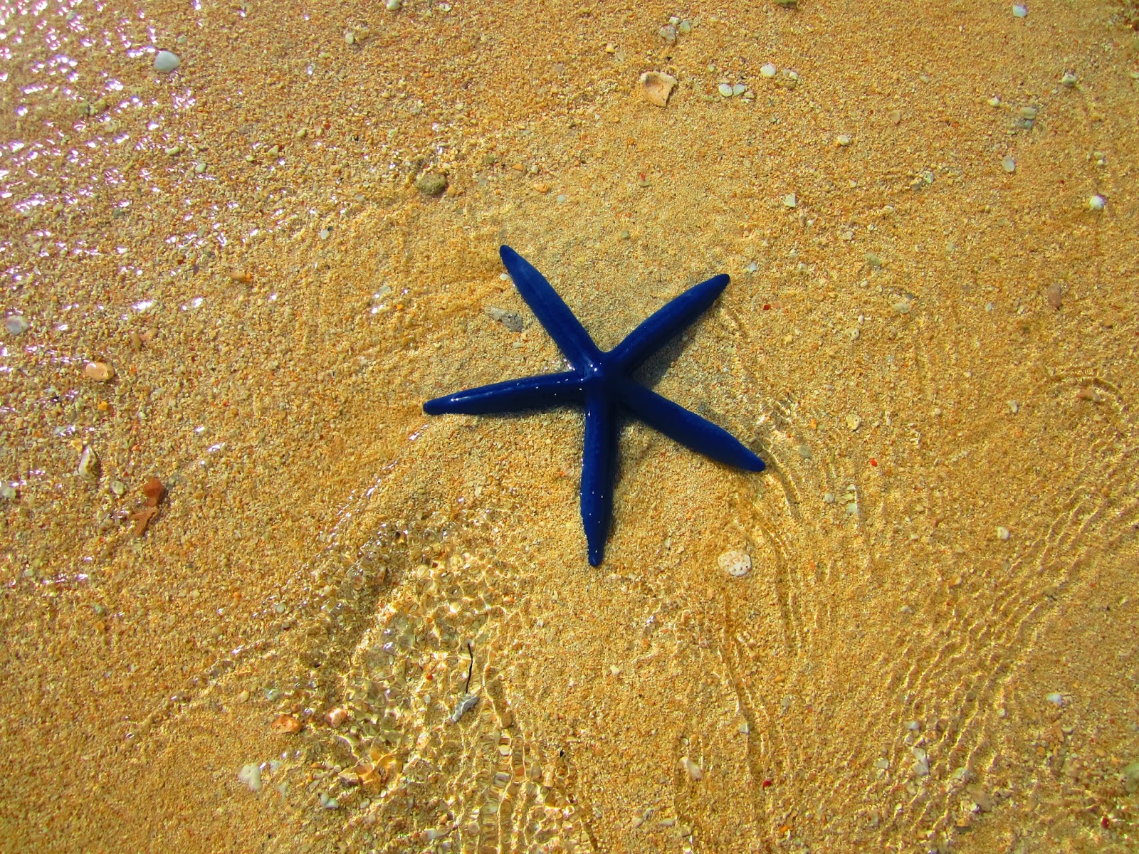 Gone with the backpack: TONGA. The last kingdom in South Pacific