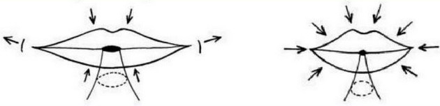 Learning the flute: 5. How to do articulation on the flute