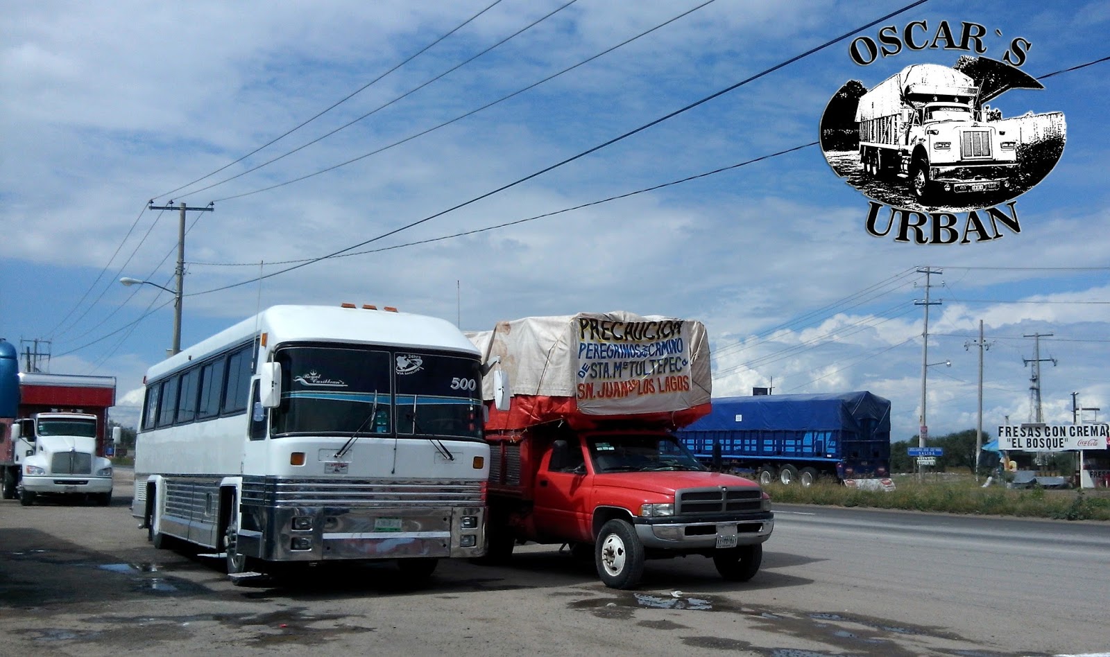 Gente Creativa Club: OISA HALCON Royal Caribbeans ´´500´´