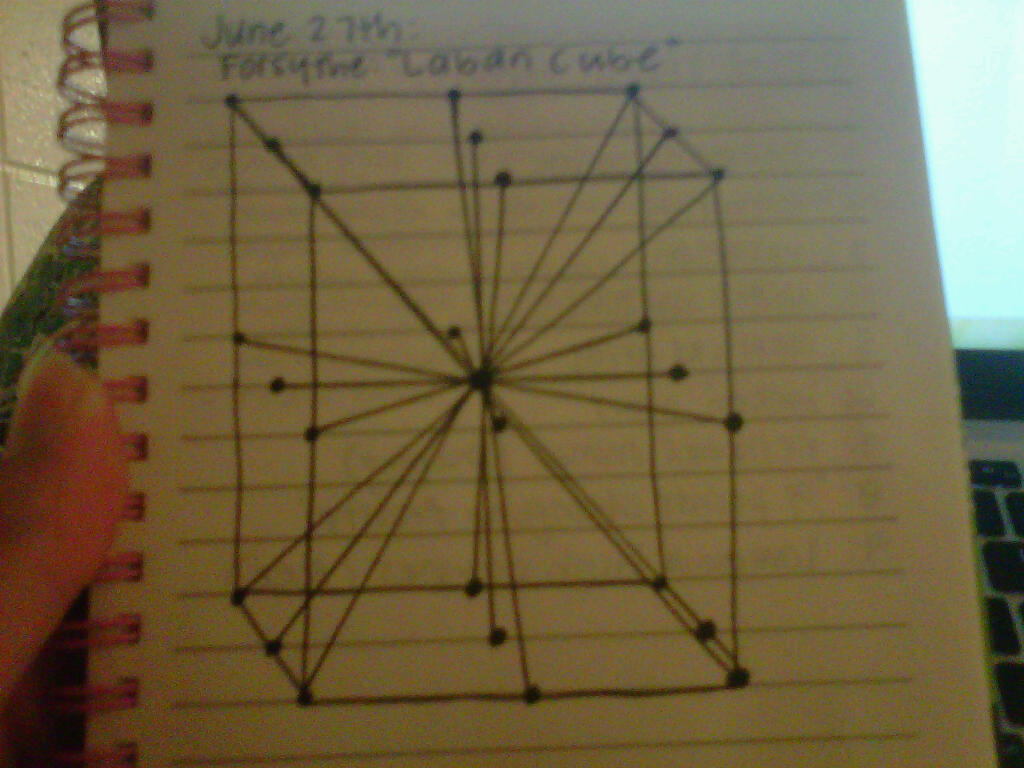 American Dance Festival Summer 2012: Day 16: Brain Overload