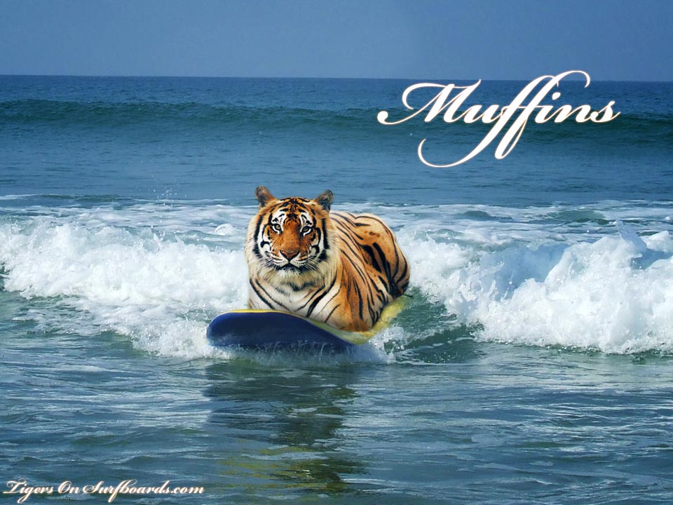 Tigers on Surfboards