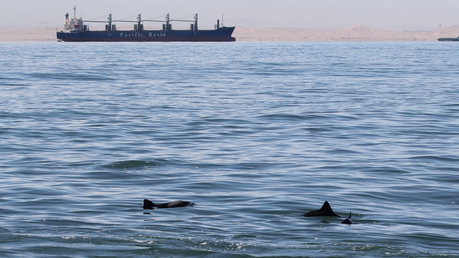 Away From Four Marks: 11th - 13th August - Swakopmund & Walvis Bay ...