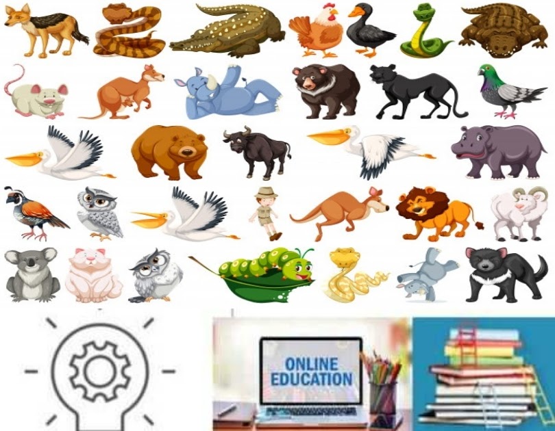 Interesting Dramatic Animals