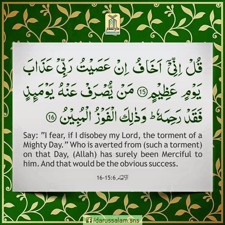 ربيع قلوبنا يوم جمعة جديد الله يرحمك يا أبي و يرحم أموات المسلمين جميعا