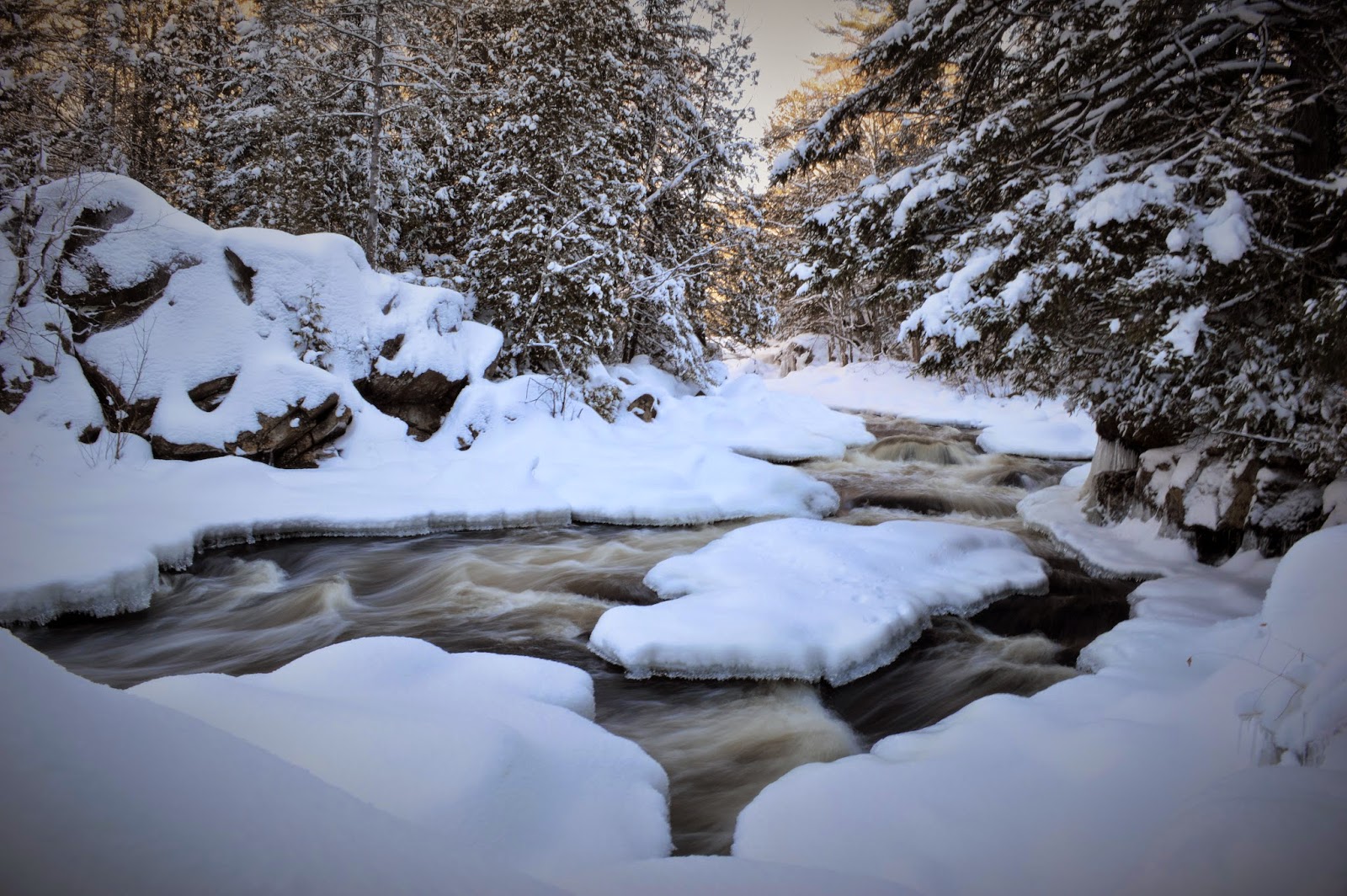 Parc de la rivière Doncaster
