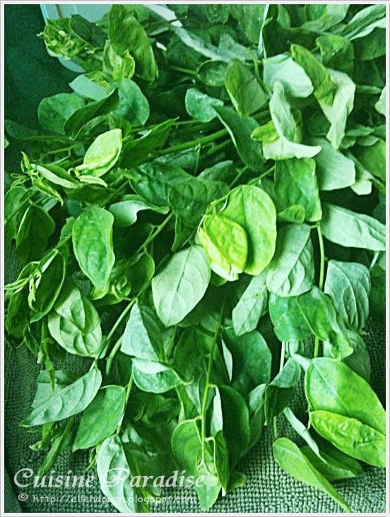 Cuisine Paradise | Singapore Food Blog | Recipes, Reviews And Travel ...