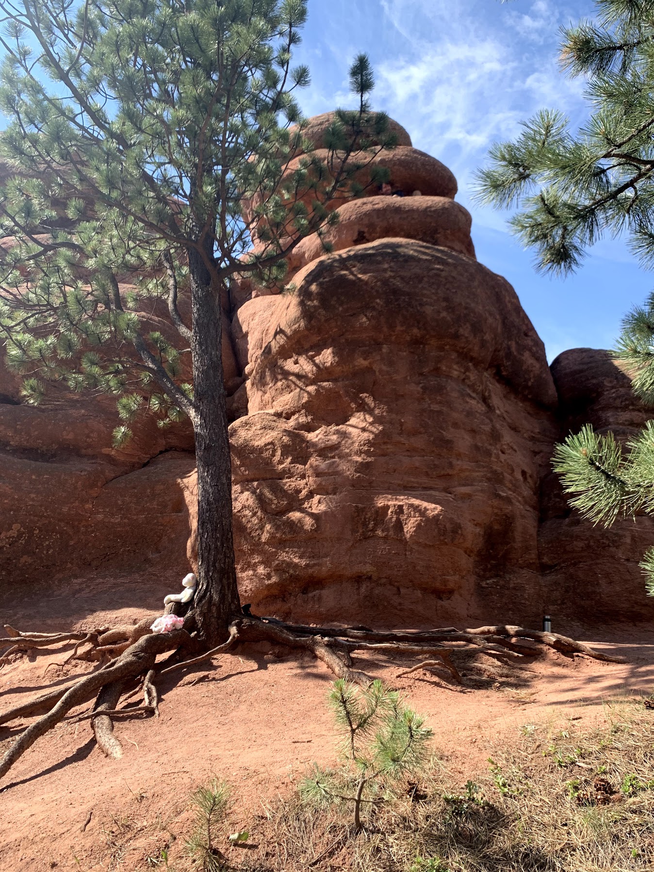 Nikki & Greg's Travels