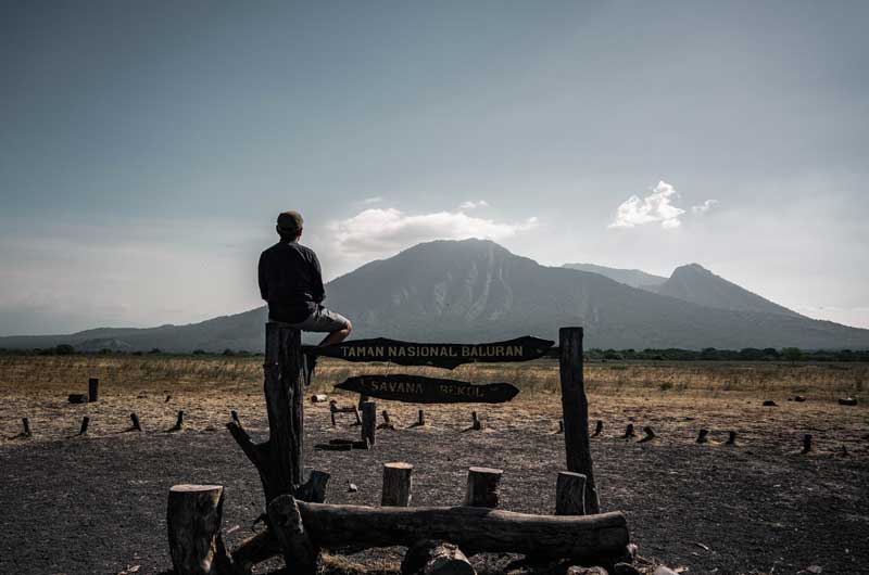 Taman Nasional Baluran, Fasilitas Wisata, Harga Tiket Masuk & Rute