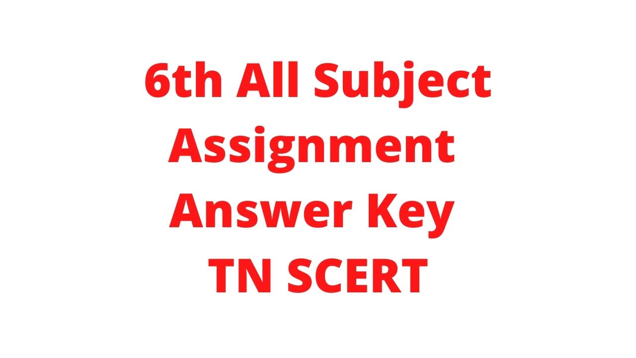 6th All Subject Assignment Answer Key TN SCERT 6th-all-subject-assignment-answer-key-tn-scert