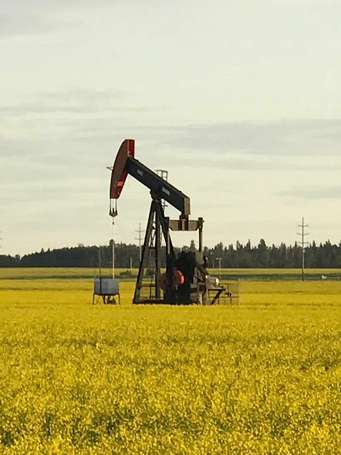 The view from here: Alberta, oil and farming