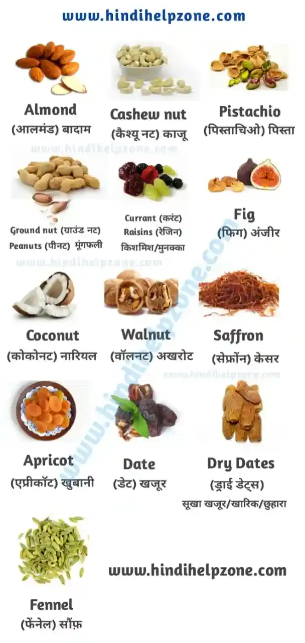 All Dry Fruits Name List In Hindi And English With Pictures pdf all-dry-fruits-name-list-in-hindi-and-english-with-pictures-pdf