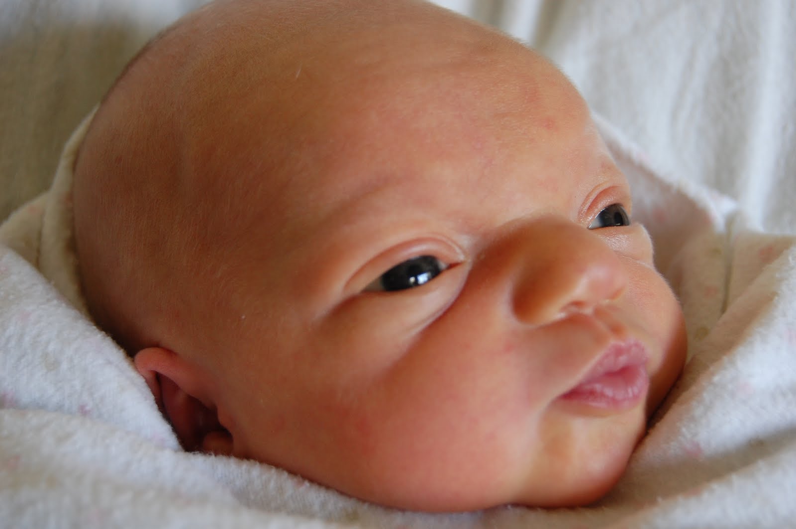 she's bald ~ at home with millie and sam