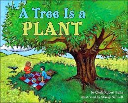 9 TREE-iffic Books to Learn About Trees | School Time Snippets
