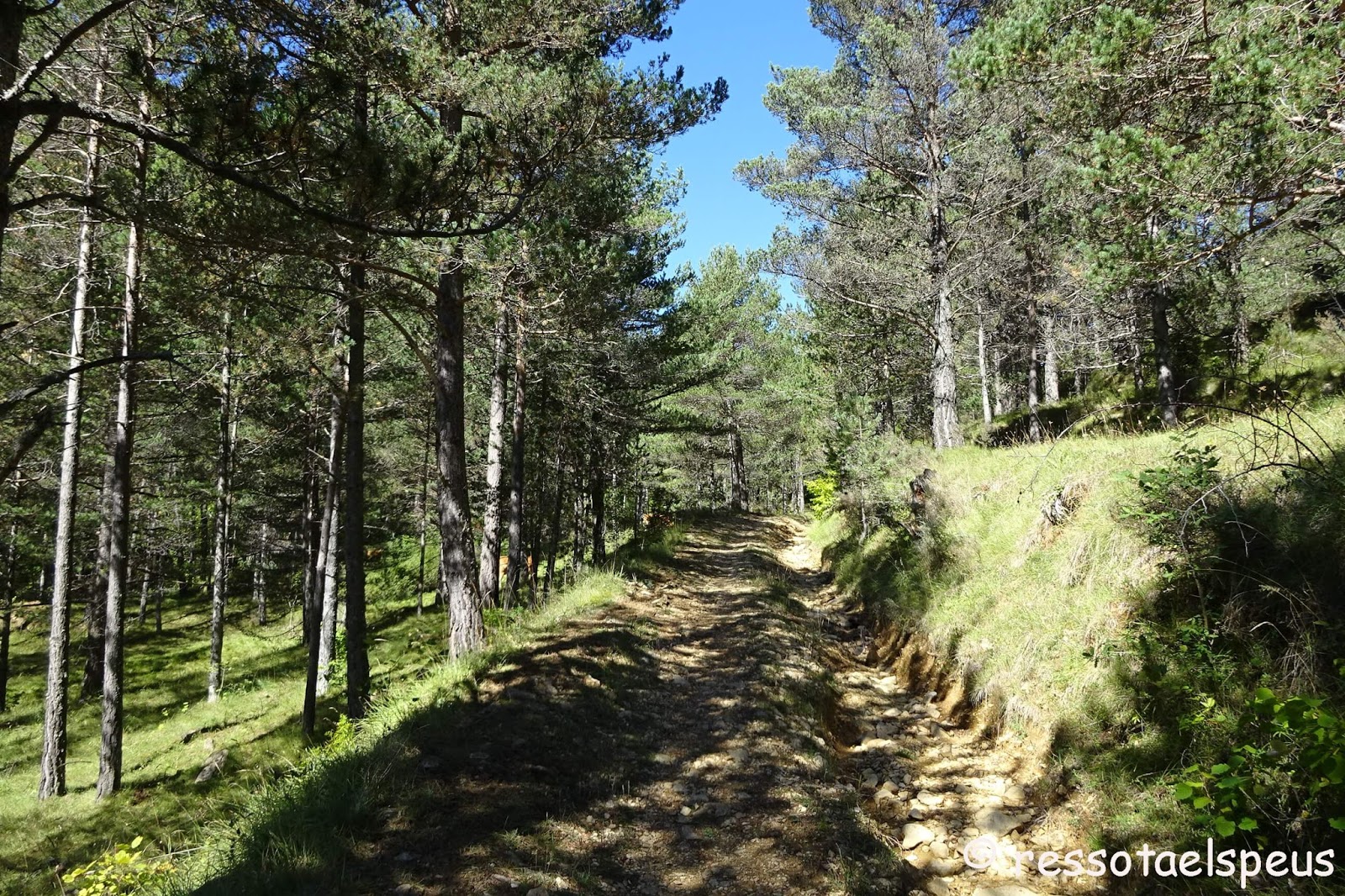 res sota els peus: Ruta al poble abandonat de Peguera