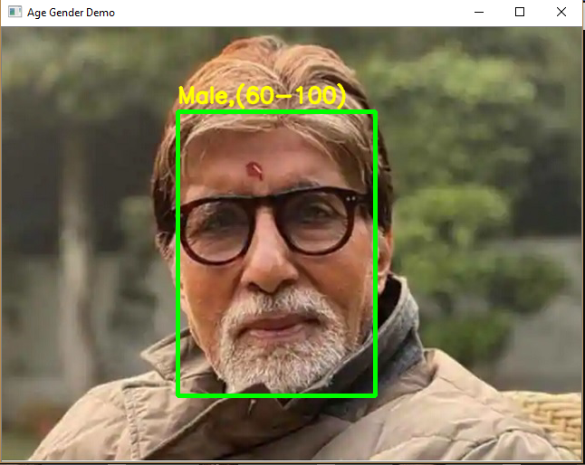 Using image data, predict the gender and age range of an individual in ...