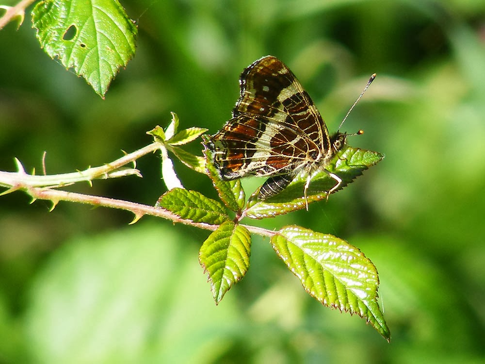 Days on the Claise: October 2013