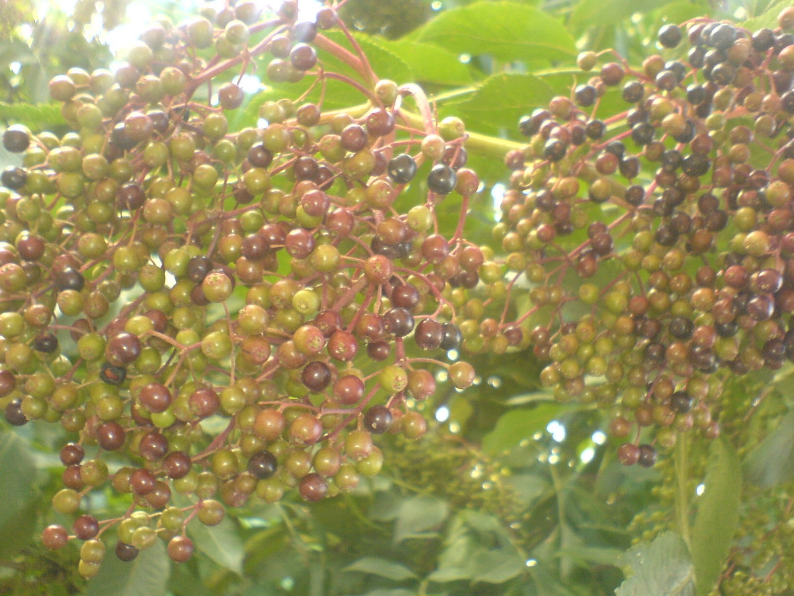 Socul | Preparatedevis.ro