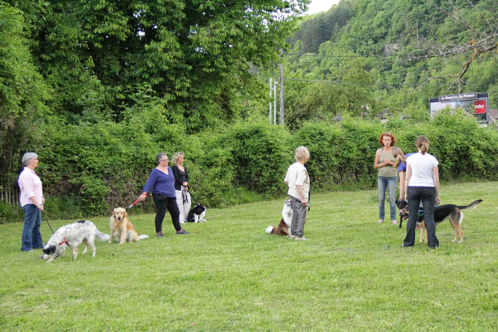 Educateur canin comportementaliste : education canine, ecole chiot ...